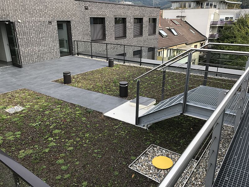 Flor: Fraunhofer Institut Freiburg