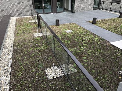 Flor: Fraunhofer Institut Freiburg